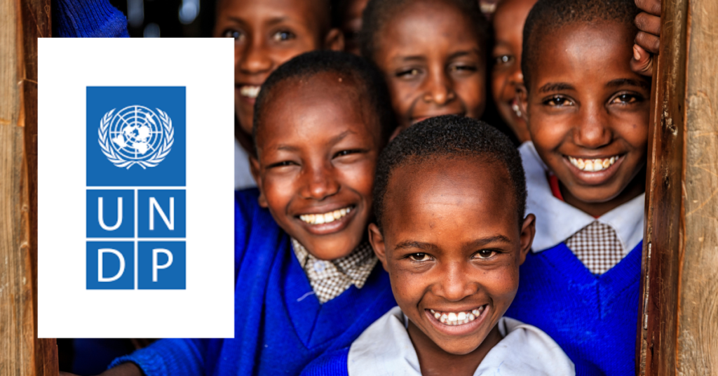 UNDP Fully Paid Research Consultant Roles 2026 — Earn $5,000+ Per Month ...