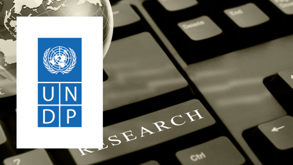UNDP Remote Data & Research Jobs 2026 — Earn $4,000+ Per Month - Reign Gigs